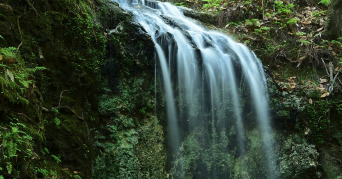 Falling Waters State Park - Chipley, Florida